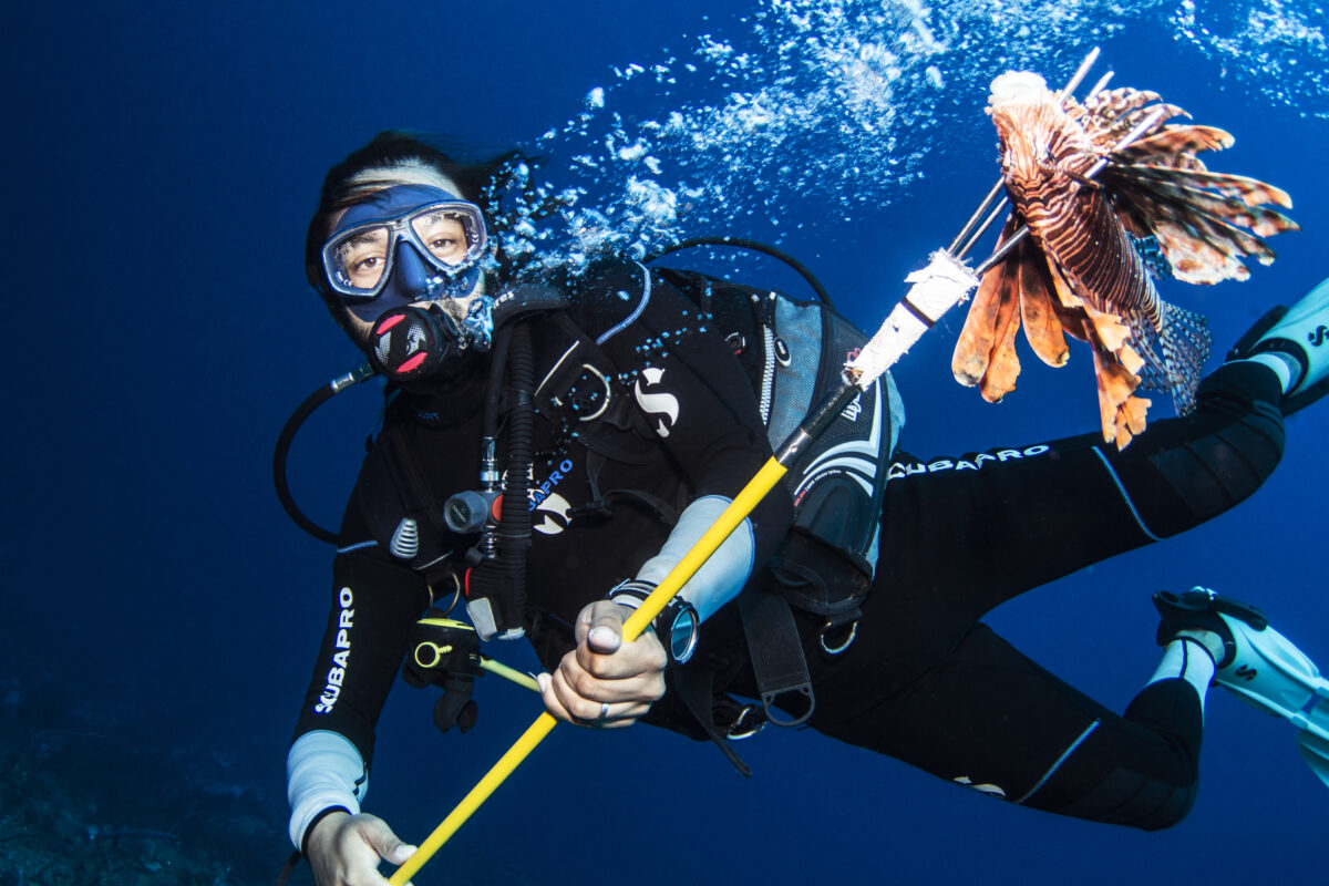 Lionfish Hunting Specialty | Scubaçao