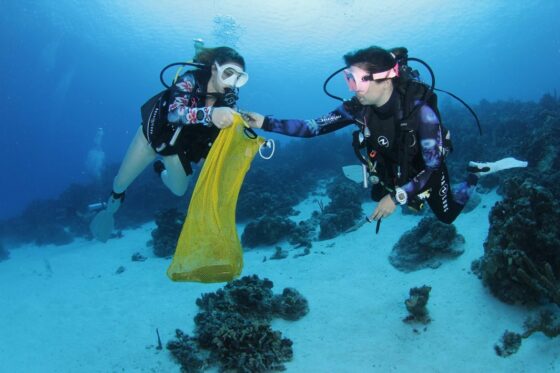 Coral Restoration Brings Diving Communities Together | Scubaçao