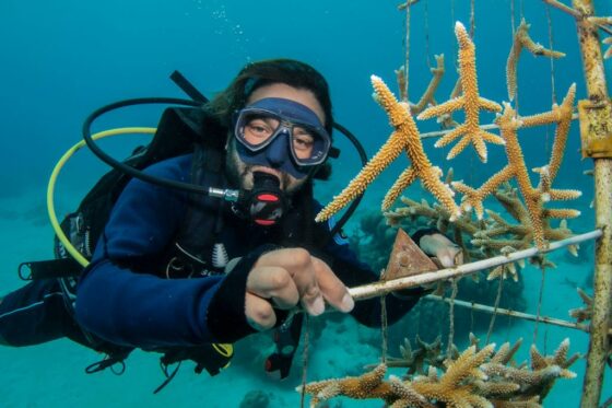 Coral Restoration Brings Diving Communities Together | Scubaçao